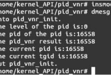 Linux内核API find_get_pid|极客笔记