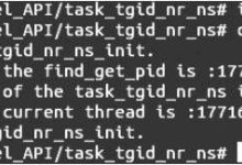 Linux内核API find_vpid|极客笔记