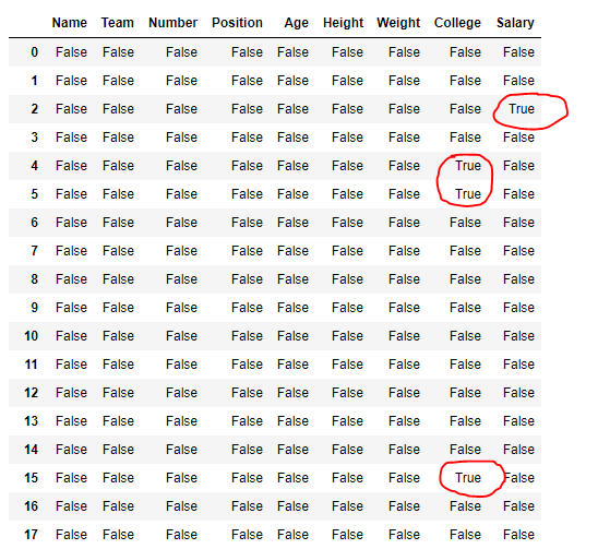 Python Pandas Dataframe isna 